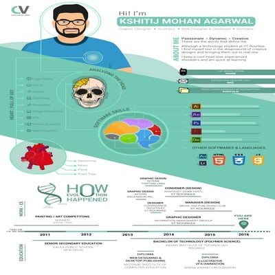 Infographic CV | PDF