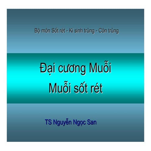 Kst muoi | PDF
