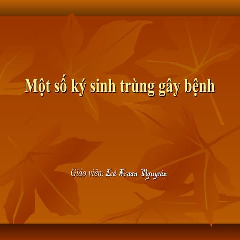 Kst thuong gap | PPT