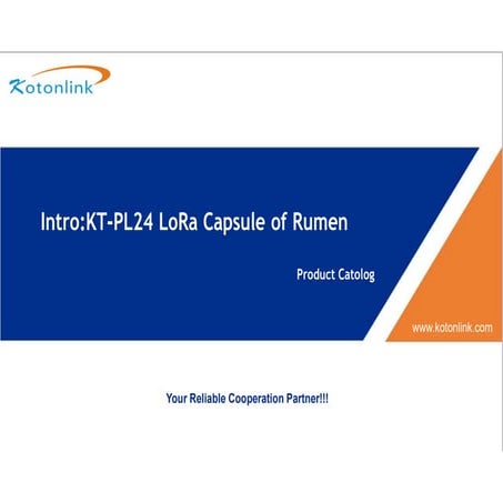 KT-PL24 LoRa Capsule of Rumen Intro_V0.1.pdf