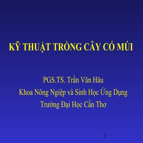 Ktct cam quyt | PPT