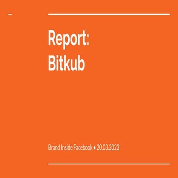 FB Capture Report.pdf