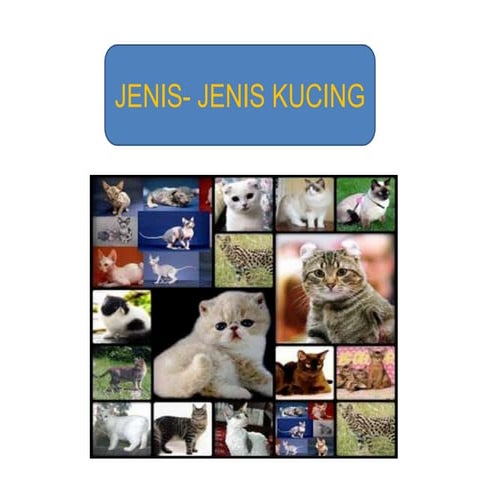 Kucing | PPTX