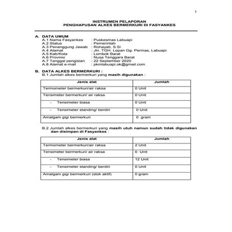 Kuesioner Pelaporan Merkuri - Copy.docx