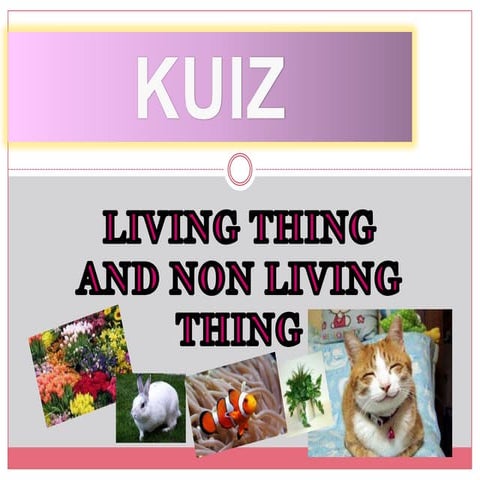 Kuiz | PPT