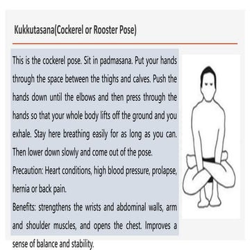 Kukkutasana(Cockerel or Rooster Pose) | PPTX | Lung and Respiratory ...