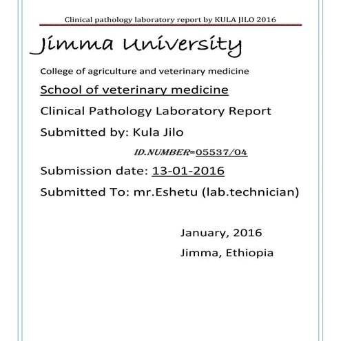 Clinical Pathology Laboratory Report by Kula Jilo 2016 | PDF