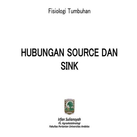 Source and sink relationship pptx.pptx