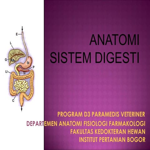 Kuliah 11 sistem digesti new | PDF