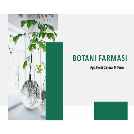 Kuliah Ke 01 Pengenalan Botani.pd Part 1 | PDF