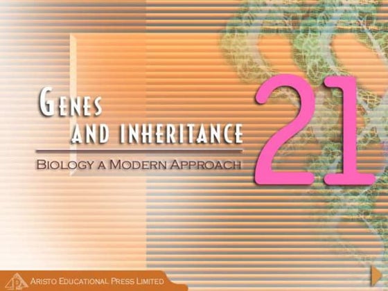 Gambar dan tahap pembelahan sel | DOCX