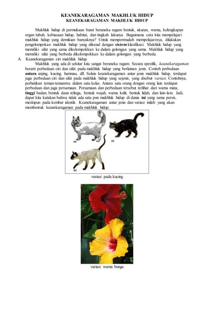 PENGARUH UNSUR FE (BESI) TERHADAP PERTUMBUHAN DAN PRODUKSI TANAMAN | PPTX