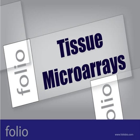 Tissue Microarray presentation | KEY