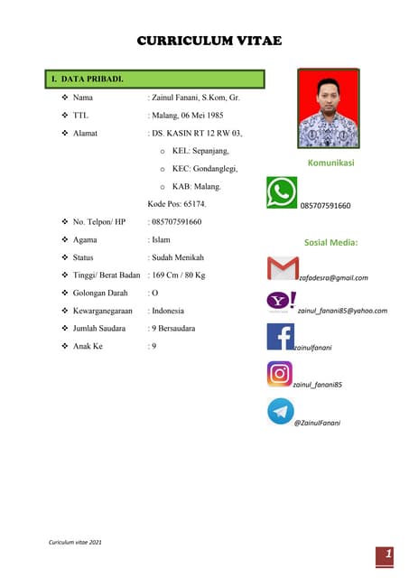 CURRICULUM VITAE | PDF