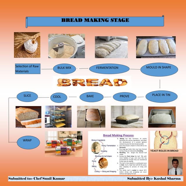 Bread Making stage in bakery | PDF