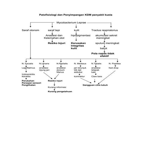 Kusta AKPER PEMKAB MUNA | DOC