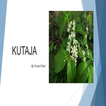 KUTAJA- ayurveda drug and herb presentation | PDF