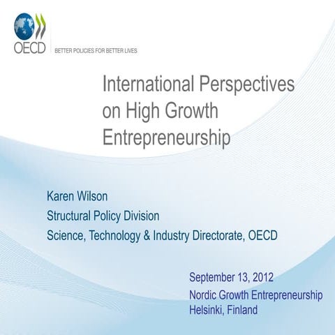International Perspectives on High Growth Entrepreneurship | PDF