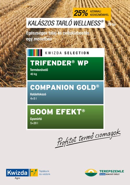 Kwiz 21-004 imidan-leaflet a4-06 web | PDF