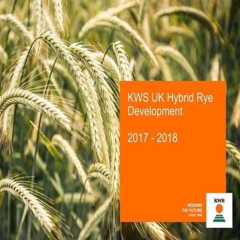 KWS UK - Hybrid Rye Development 2017-18 | PPT