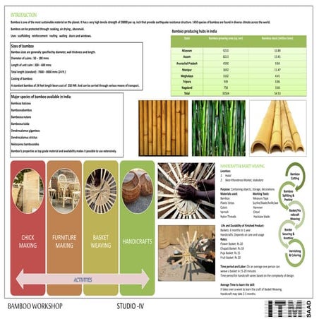 Bamboo Workshop | PPTX