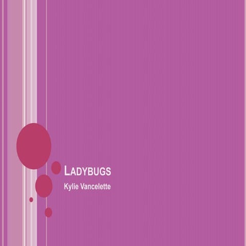 Kylie 1 g lifecycle_ladybug_student copy | PPT