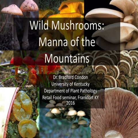 Classification of mushrooms | PDF