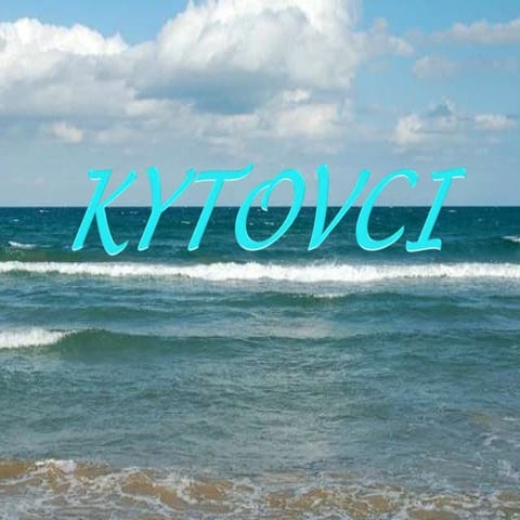 Kytovci | PPTX