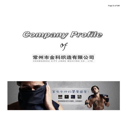 Kzm factory profile | PDF