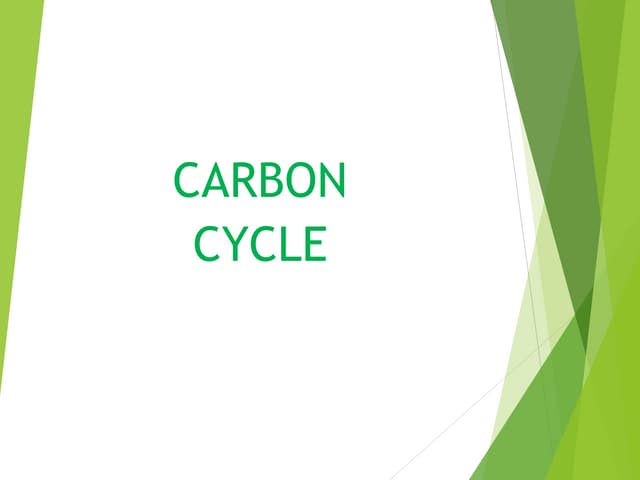 Carbon cycle notes | PDF