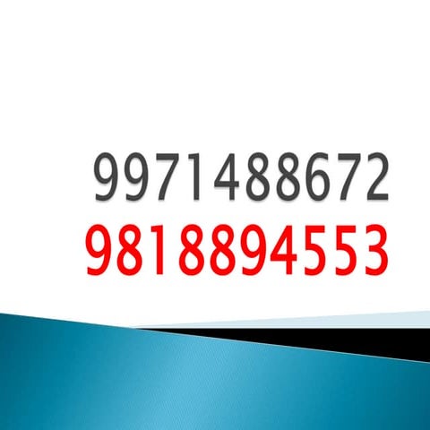 9818894553 - 9958771358 - 9971488672 Lotus Greens City Sector 79 | PPTX