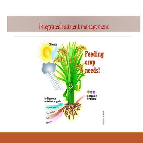 Integrated Nutrient Management (INM) | PPTX