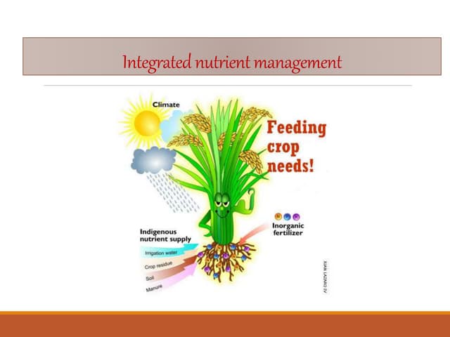 Integrated Nutrient Management (INM) | PPTX