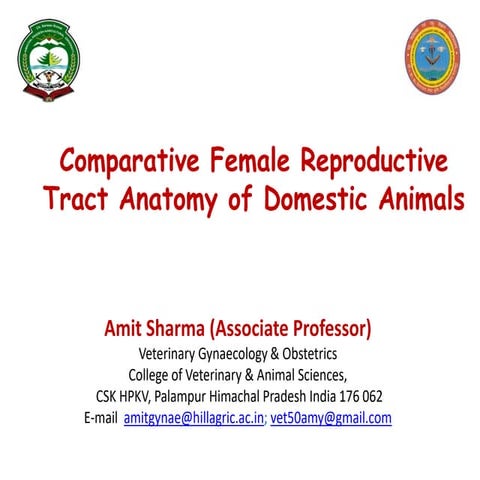 Female Reproductive Tract Anatomy of Domestic Animals | PPT