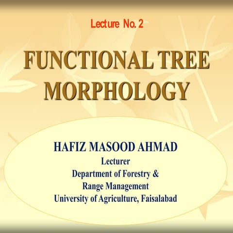 Cross section of a tree | PPTX