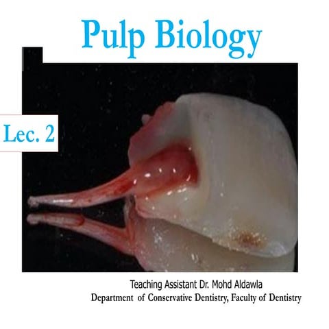 L.2 Pulp Biology.pdf