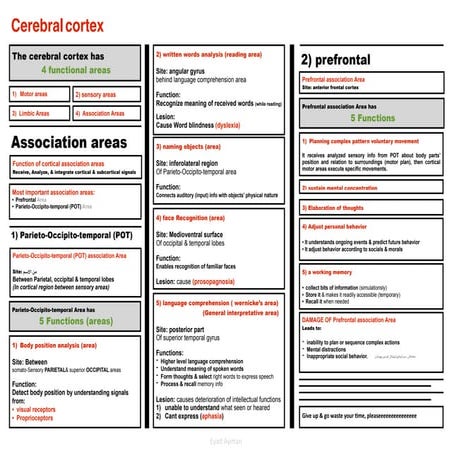 L.17 Cerebral cortex in two pages…………….. | PPT