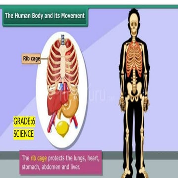 L-2 Skeletal System grade 6 science.pptx