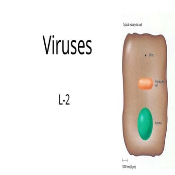 IIT Jodhpur Prof's Virus Growth Analysis Slides | PPTX | Genetics | Science