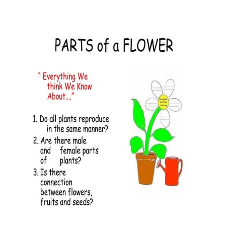 L-33 PARTS OF FLOWERgrade 6 science.pptx