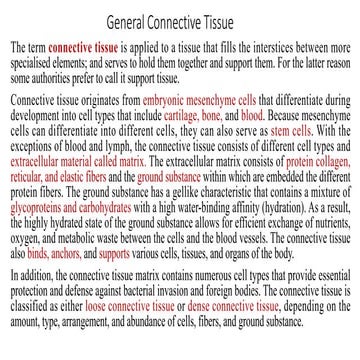 L - 4. General Connective Tissue.pdf