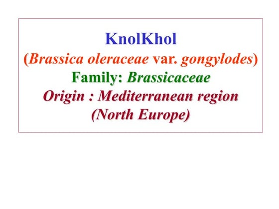Knol khol | PDF