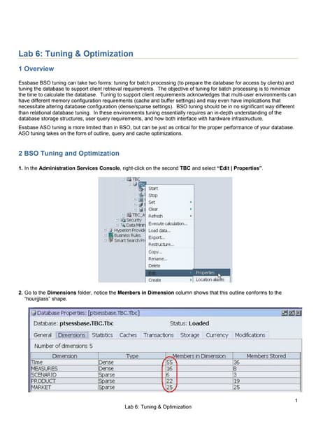 Optimization in essbase | DOCX