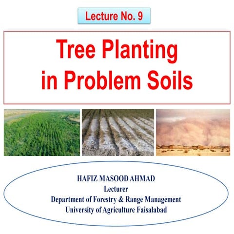 L-9- Tree Planting in Problem Soil W-23.pdf