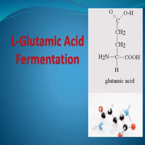 L -glutamic_fermentation | PPTX