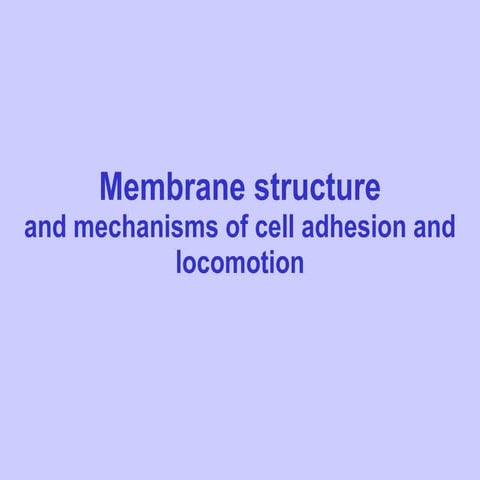 L02 cell membrane_ | PPT