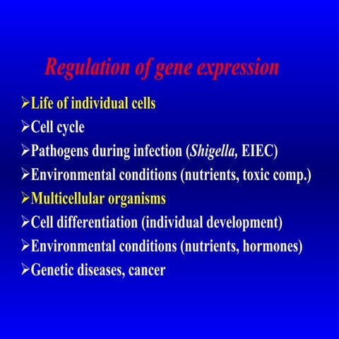 L07 reg. of_gene_exp._ | PPT