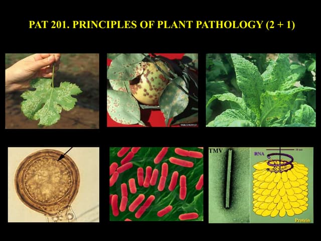 History of plant pathology | PPT
