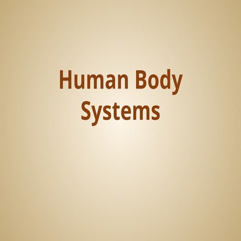 nearly everything is made up of atoms lalo universe | PPTX