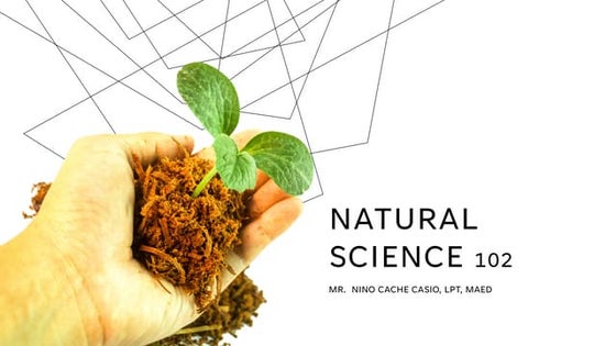 Science (biology) 8 q4 Digestion | PDF